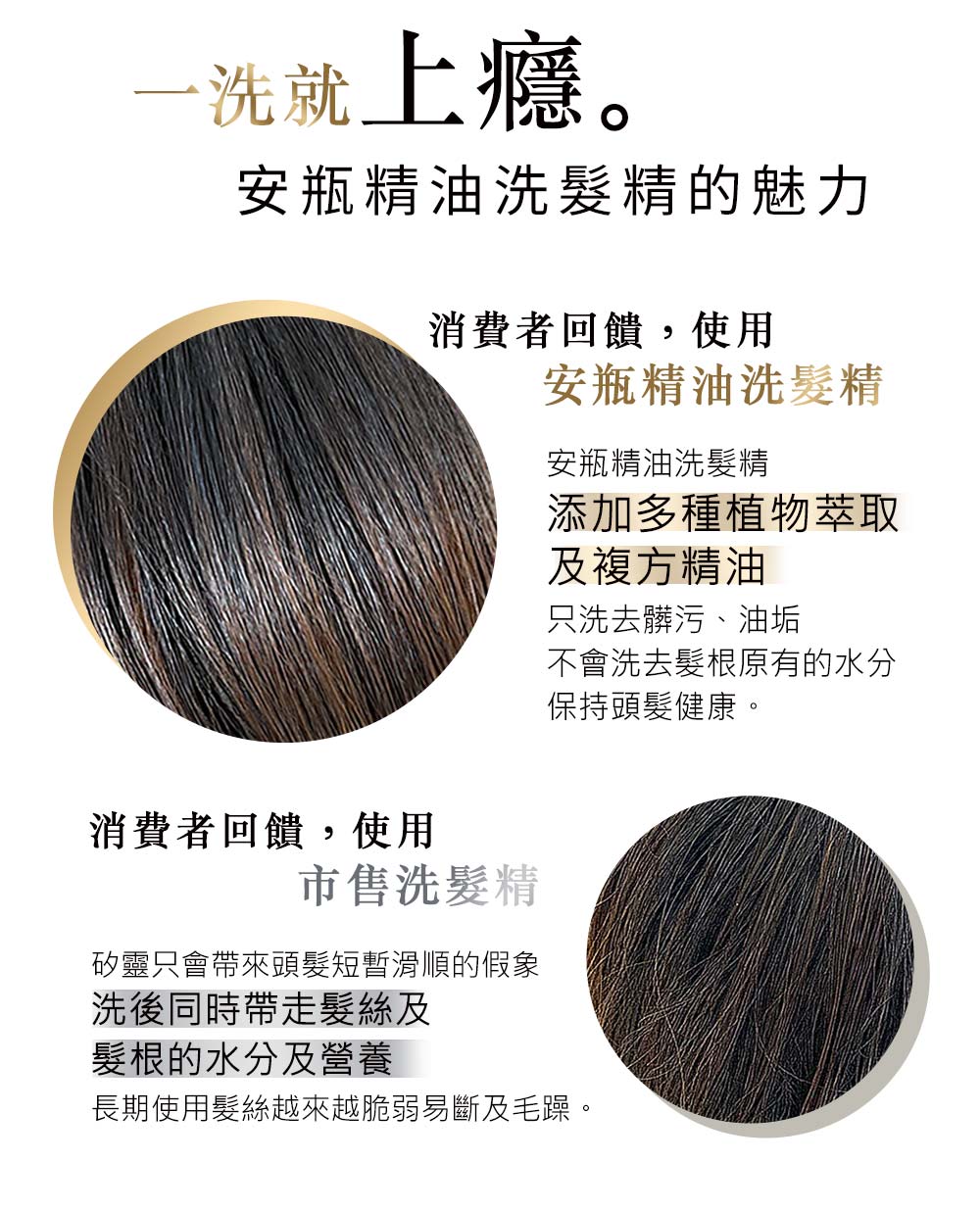 去屑止癢告別頭皮屑-安瓶養護精油洗髮精│Mdmmd.明洞國際 - Mdmmd.｜明洞國際